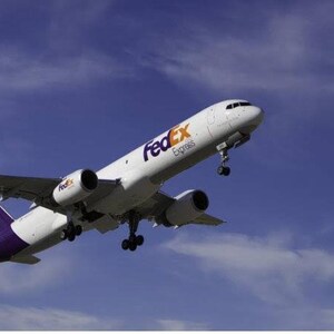 Human Made Tiger Print Design Hand Tufted Woolen Rug, New Zealand Wool ...