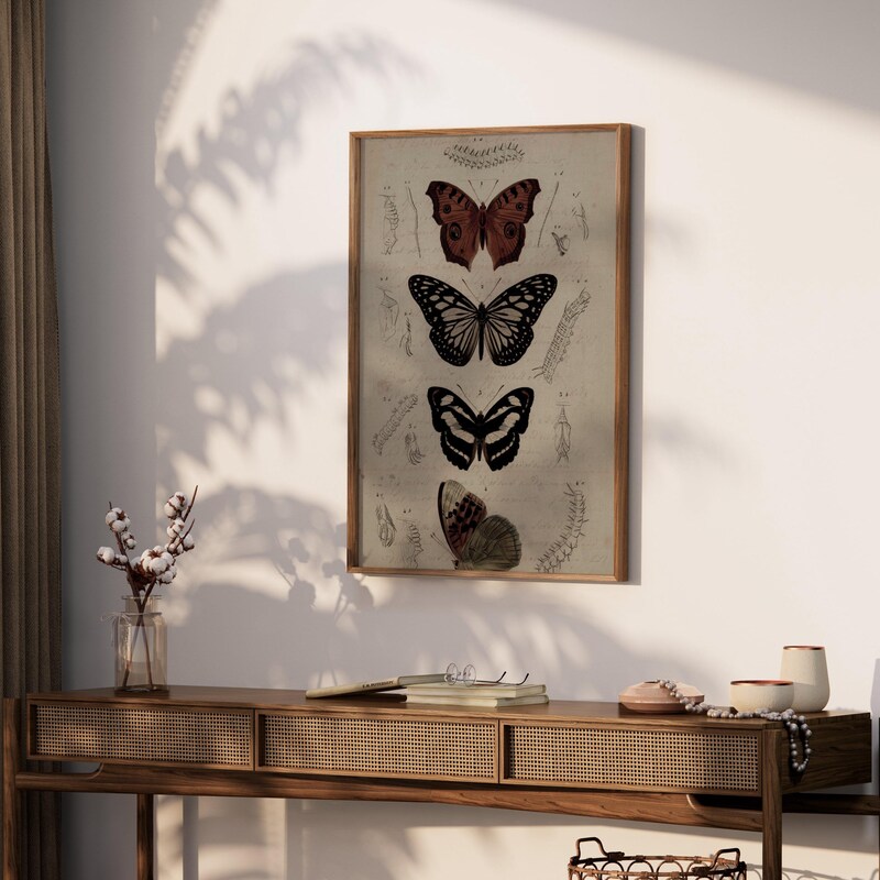 Vintage Entomology Print - Etsy