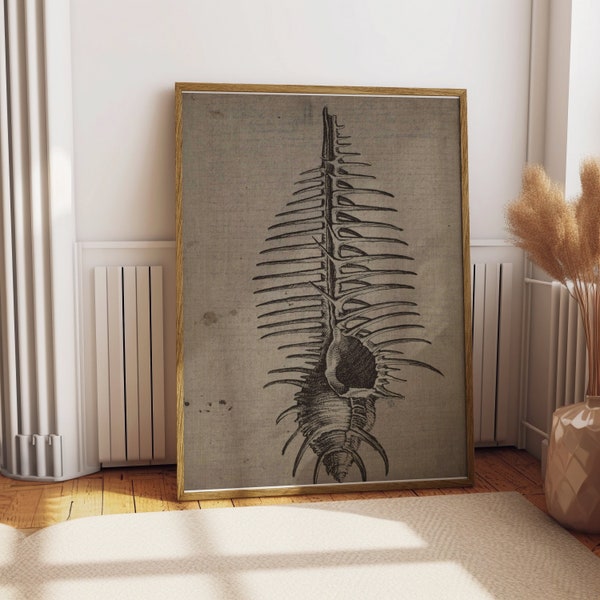 Natural History - Etsy
