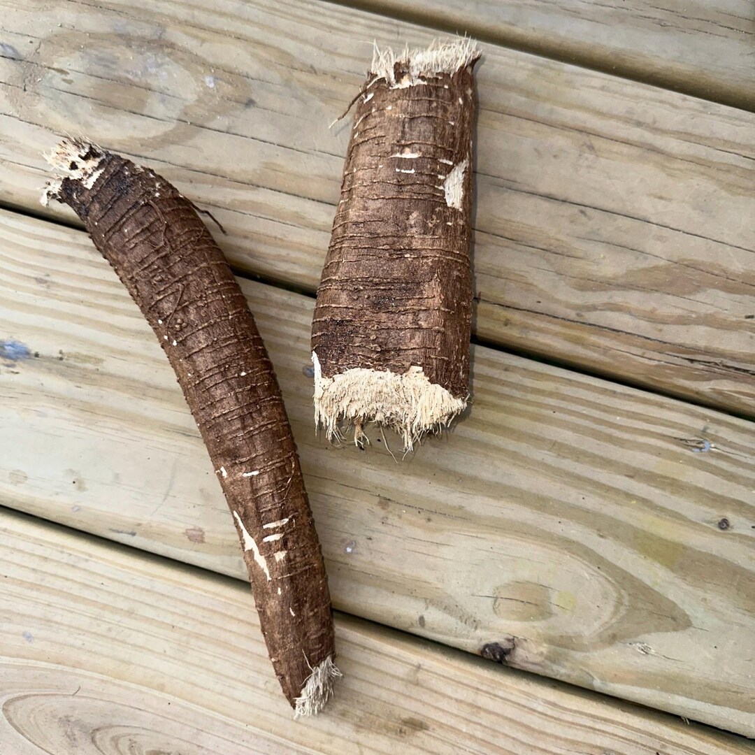 Poke Root - Phytolacca Americana, Fresh - Etsy