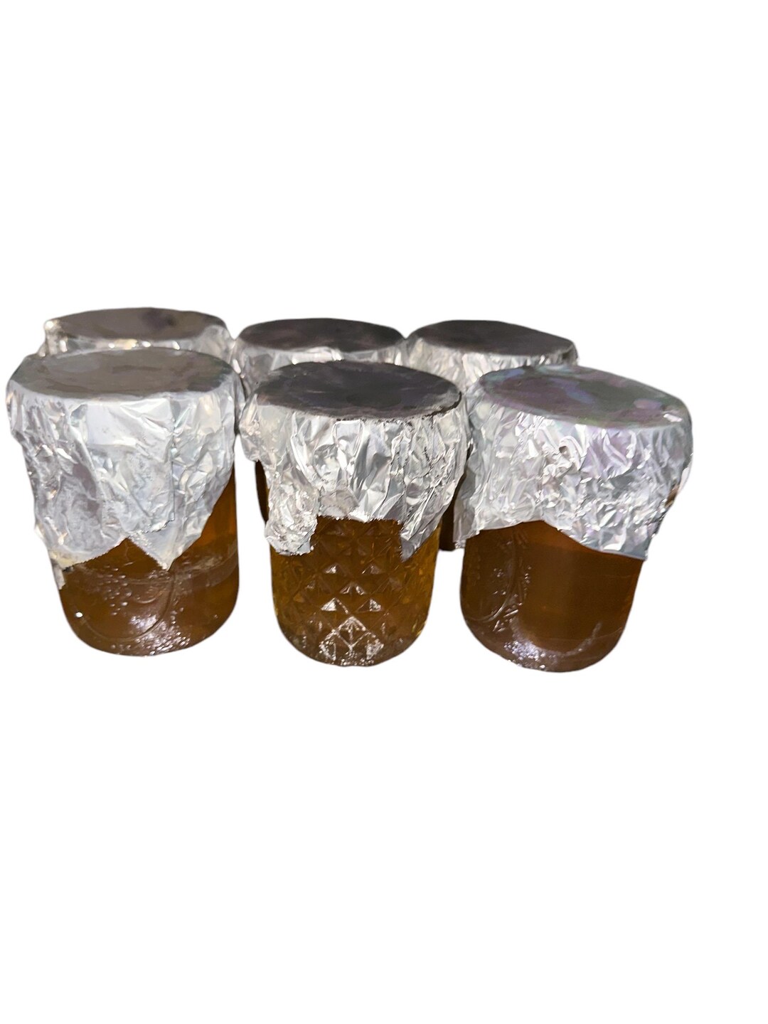 MUSHROOM LIQUID CULTURE Jars - Etsy