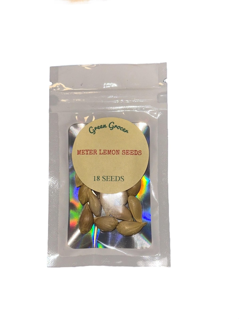MEYER LEMON SEEDS - Etsy