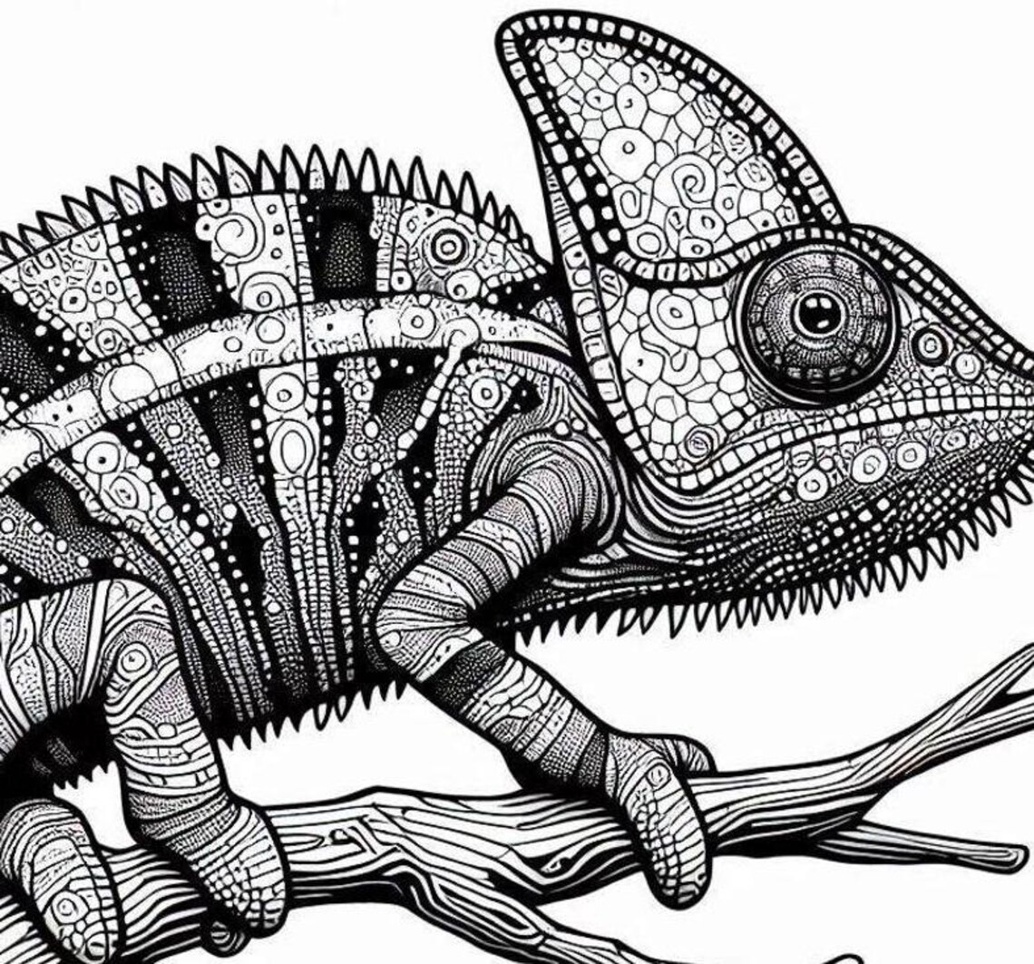 20 Animal Colouring Pages (multiple Styles, Easy/hard) - Etsy