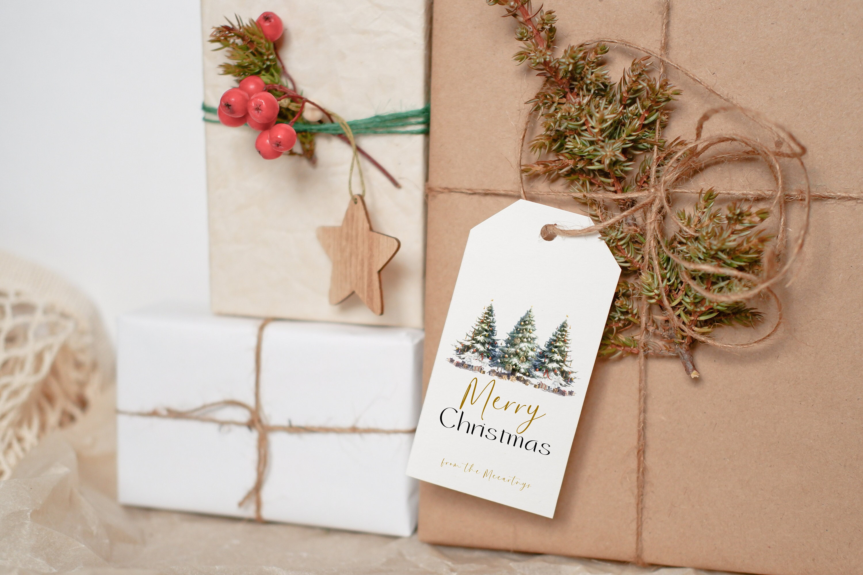 Merry Christmas Gift Tag Printable, Printable Christmas Tree Gift Tag ...