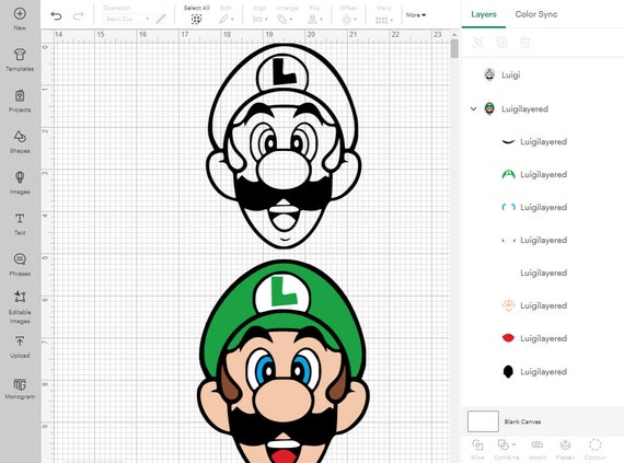 Super Mario Luigi Face