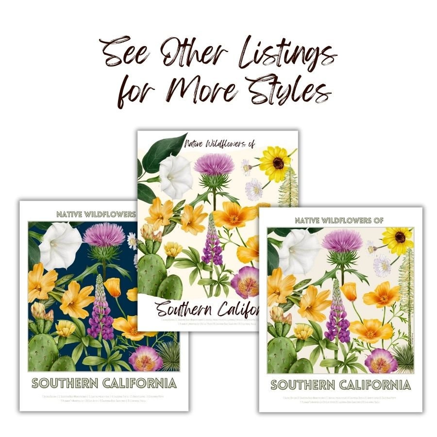 Runyon Canyon Wildflower Wall Art / Print Poster / Southern California ...