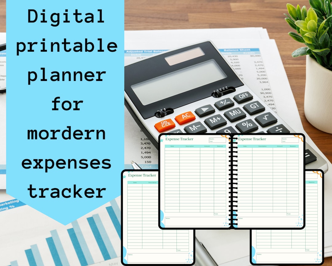 Clean and Modern Expense Tracker Sheet - Etsy