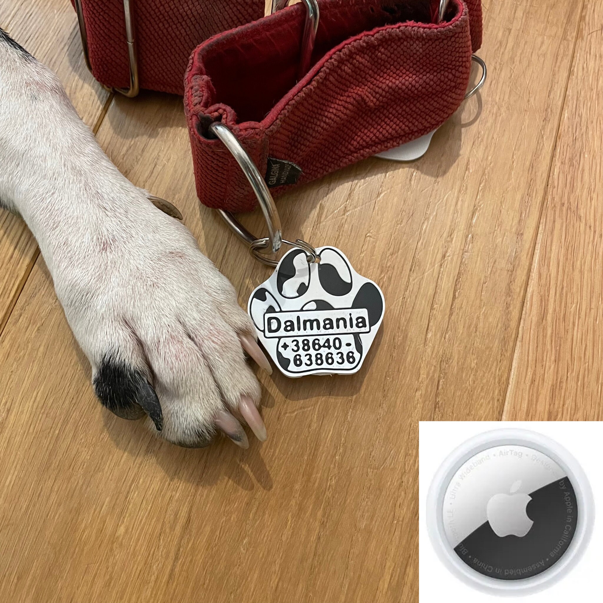 Dog Nametag for Dalmatian Apple AirTag Holder With Phone - Etsy