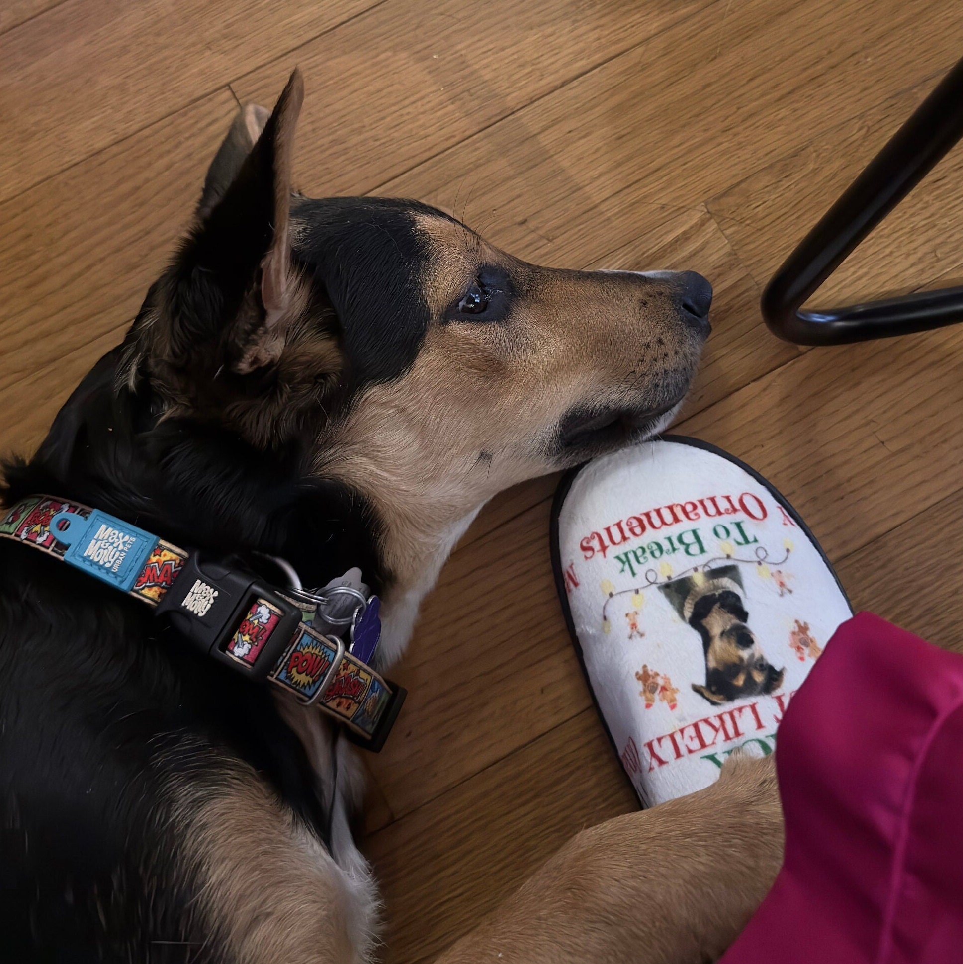 Personalized Custom Dog Slippers W Photo Dog Cat Faces, Personalized ...