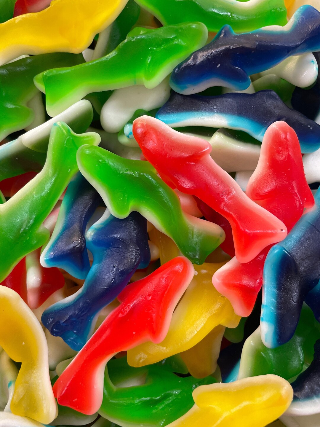 Gummy Baby Shark - Etsy