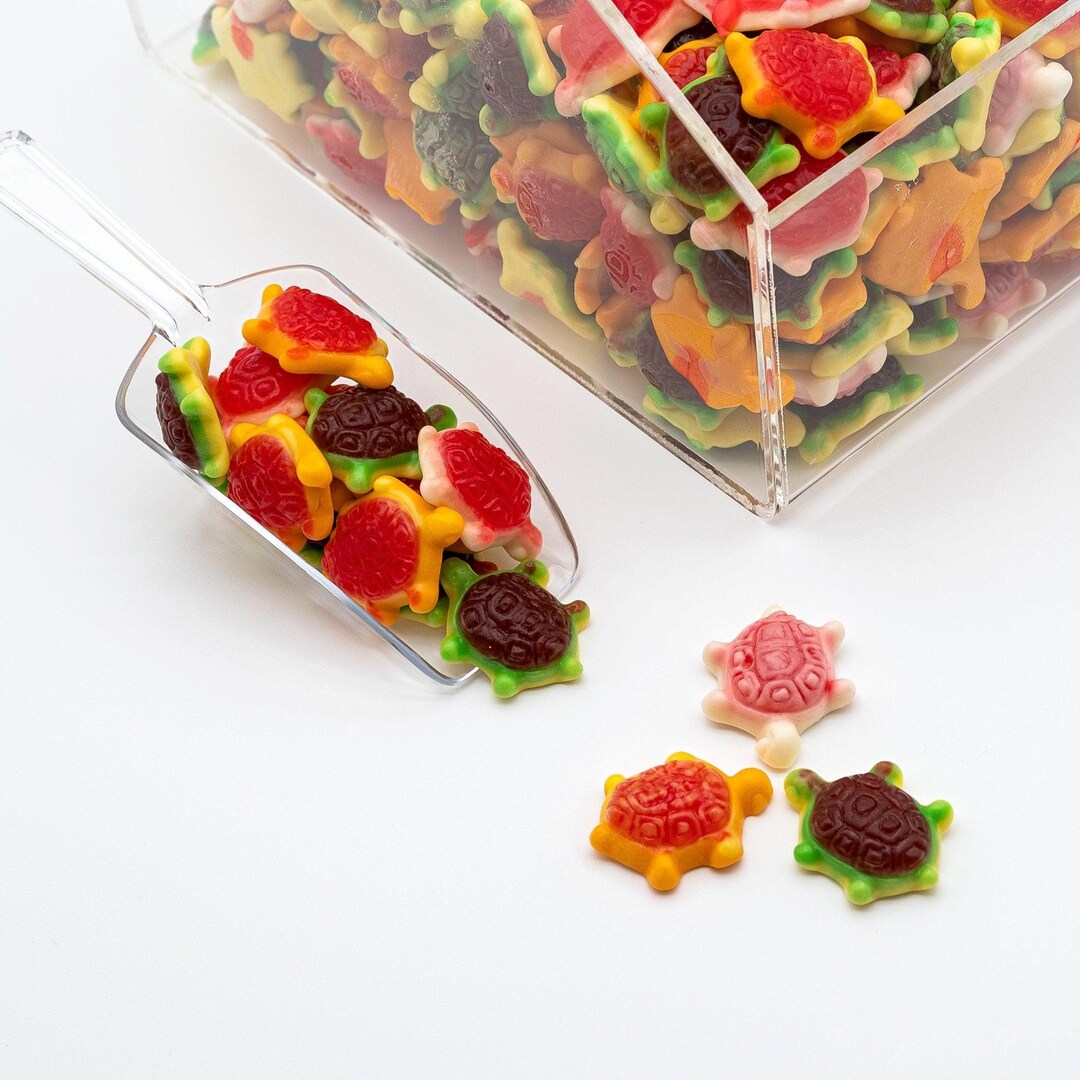 Gummy Filled Turtles - Etsy