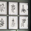 Female Illustration Wall Art | Set of 3 Women Portrait Prints | Pencil ...