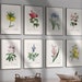 Female Illustration Wall Art | Set of 3 Women Portrait Prints | Pencil ...