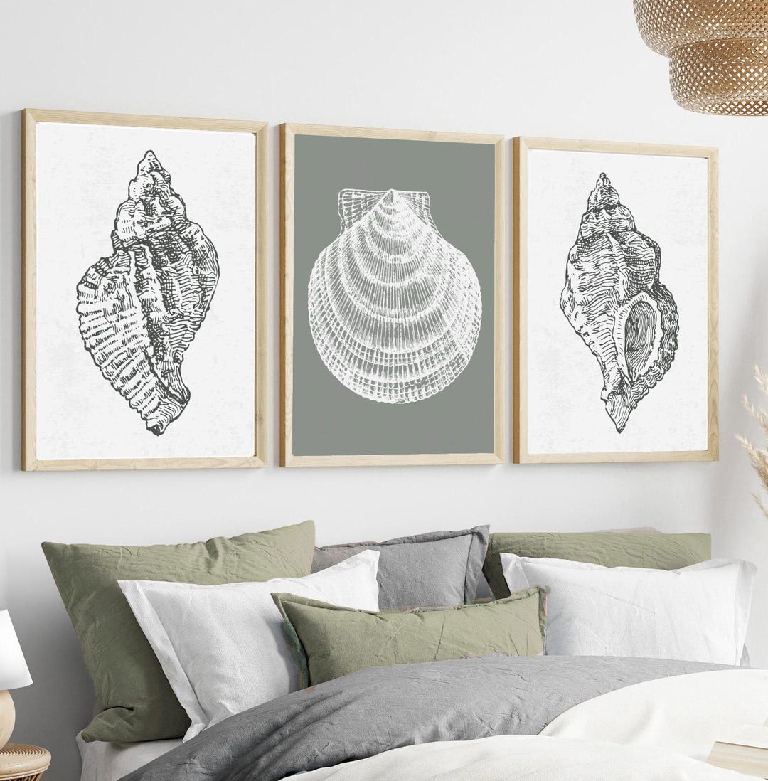 Coastal Seashell Prints in Sage Green | Ocean Wall Art Set of 3 | Beach ...