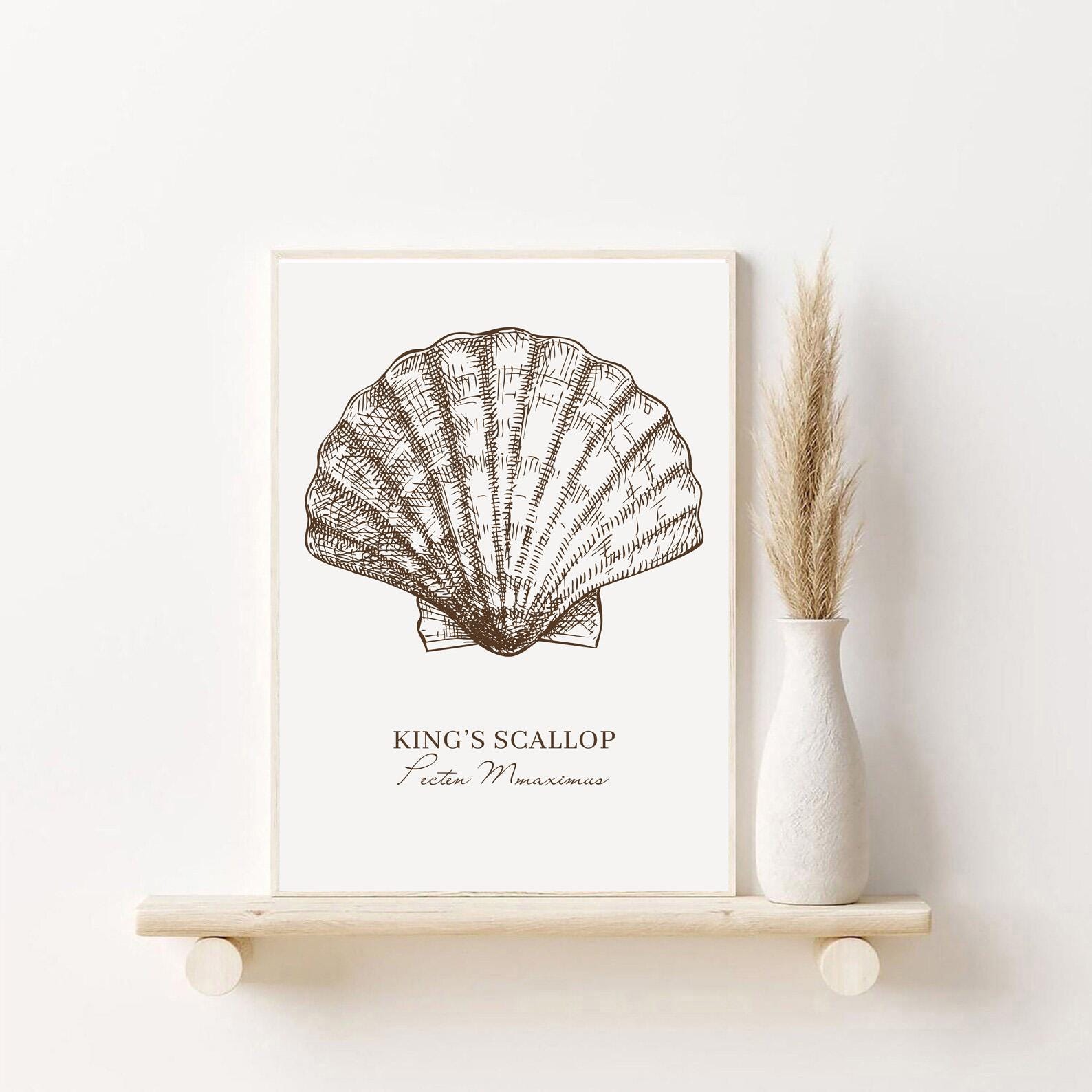 Vintage Seashell Drawing, Beige Seashell Art, Minimalist Seashell Art ...