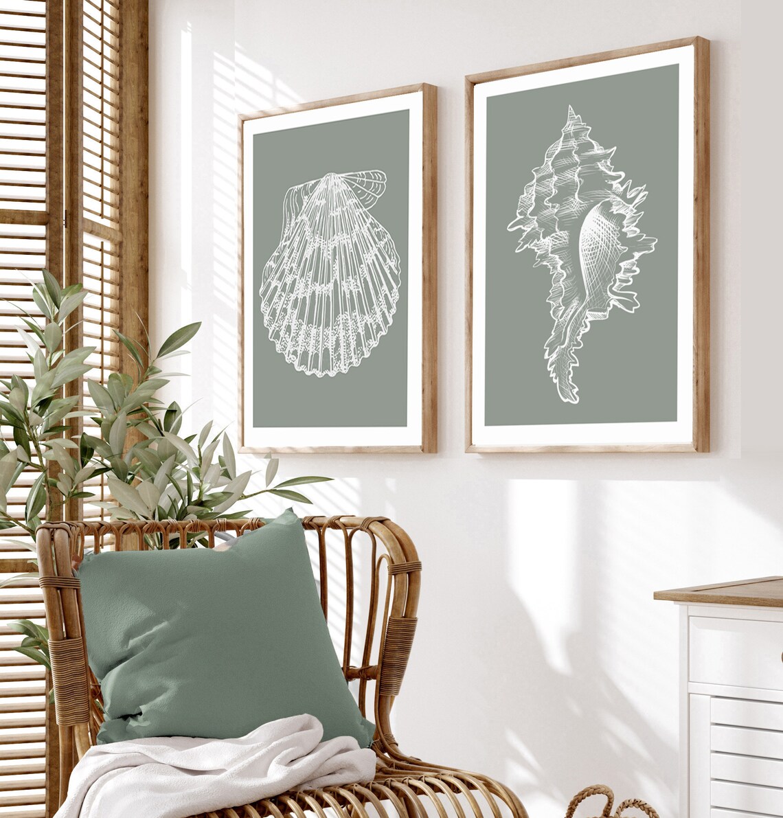 Coastal Print Set, Modern Coastal Art, Seashell Print in Sage Green ...
