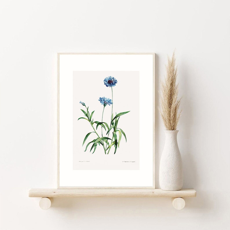 Minimalist Vintage Blue Flower Drawing Set of 8 Antique - Etsy