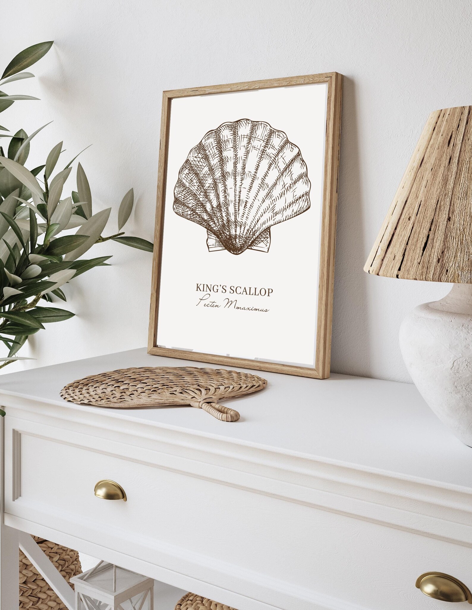 Vintage Seashell Drawing, Beige Seashell Art, Minimalist Seashell Art ...