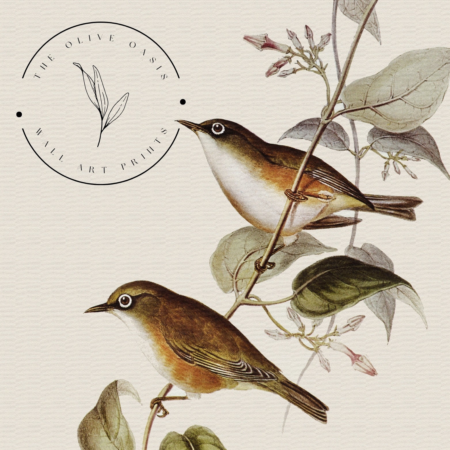 Vintage Bird Art Set | Watercolor Set Farmhouse Decor With Birds ...
