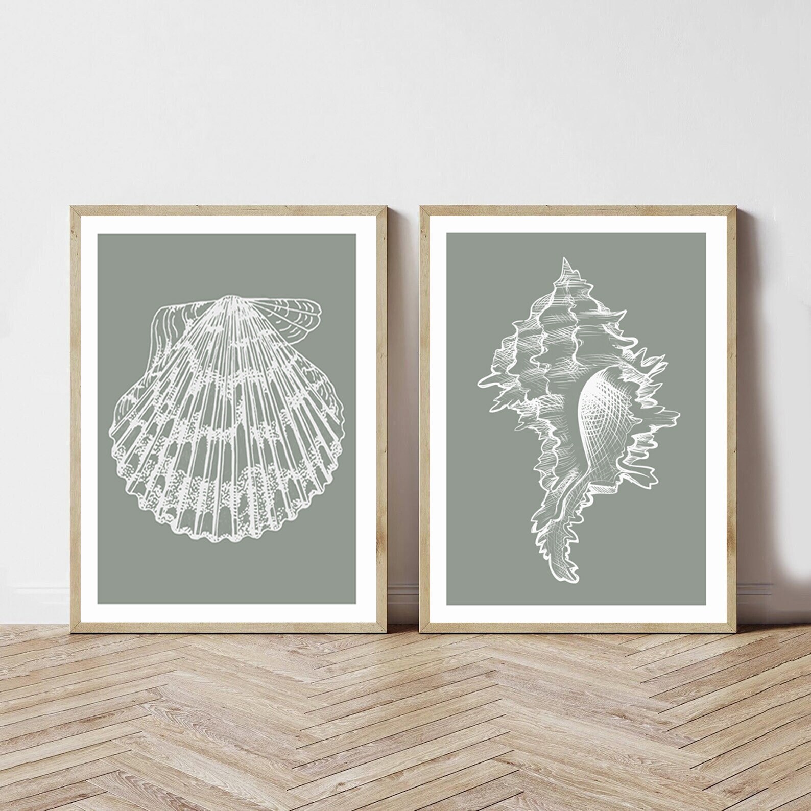 Coastal Print Set, Modern Coastal Art, Seashell Print in Sage Green ...