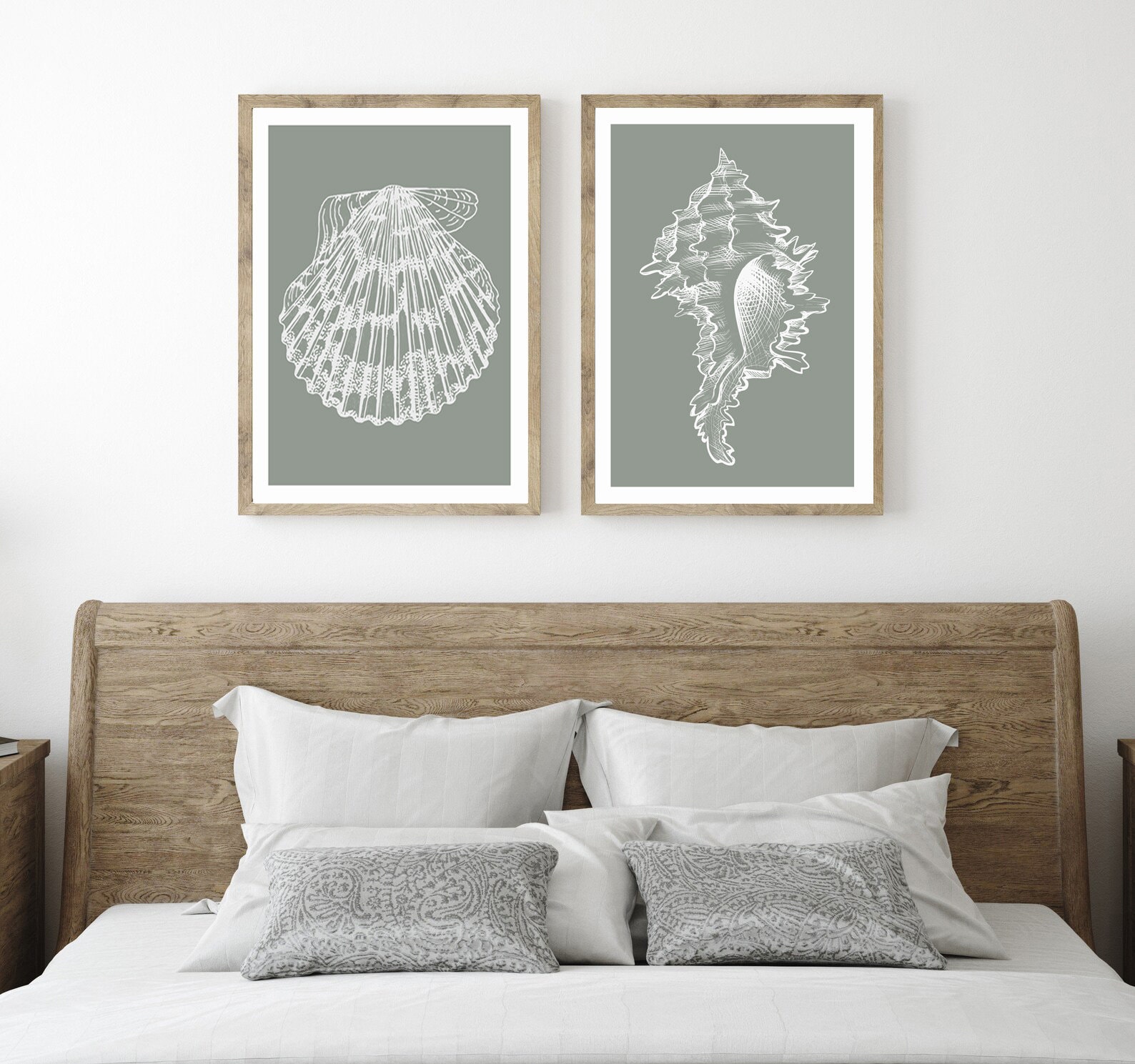 Coastal Print Set, Modern Coastal Art, Seashell Print in Sage Green ...