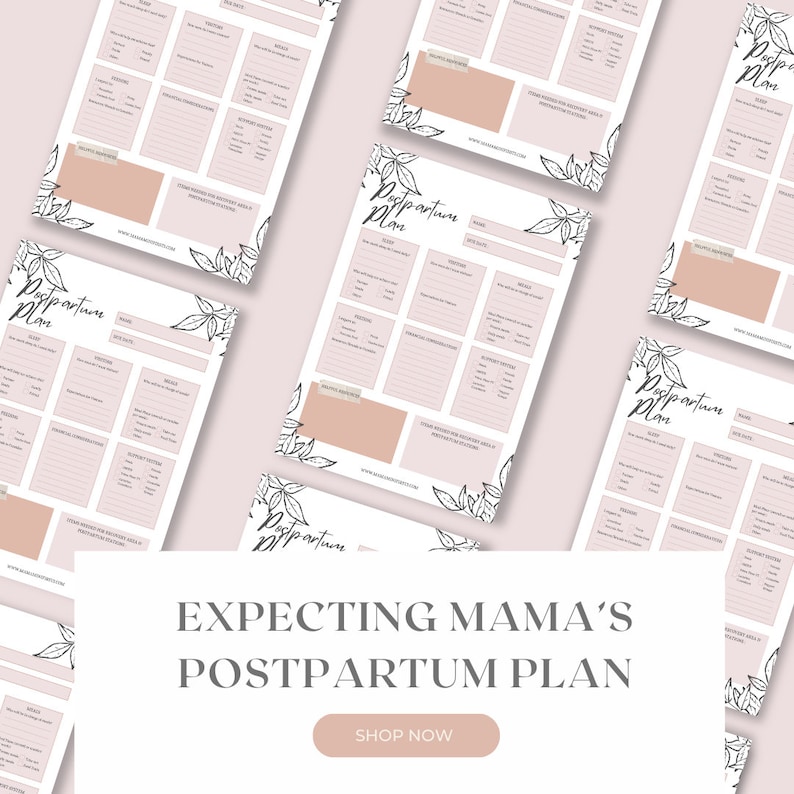 Simple Postpartum Plan: Recovery Guide for New Moms, Planning Worksheet ...