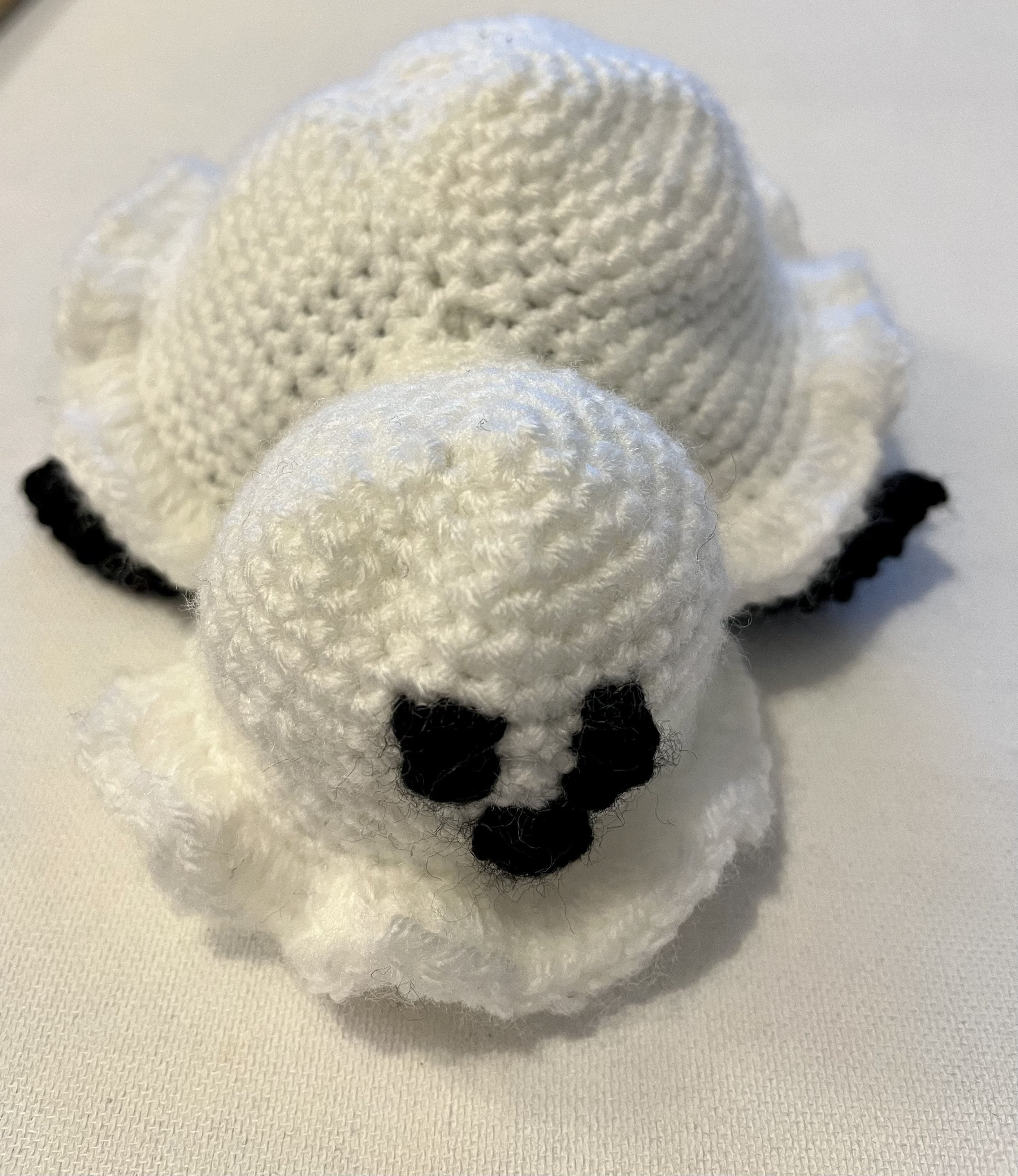 Skeleton Ghost Crochet Turtle - Etsy