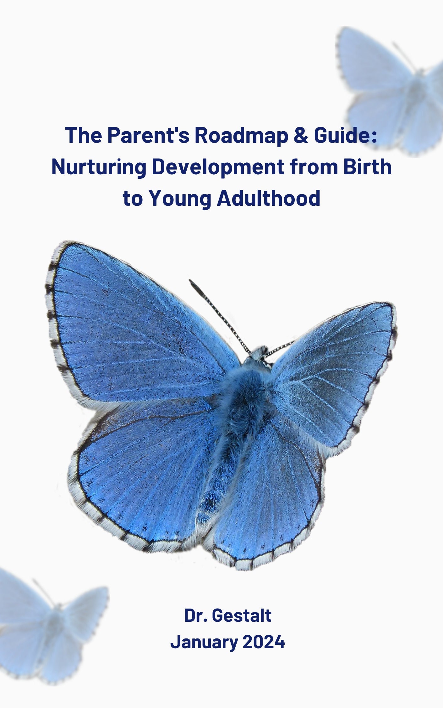 The Parent's Roadmap & Guide: Nurturing Development From Birth to Young ...
