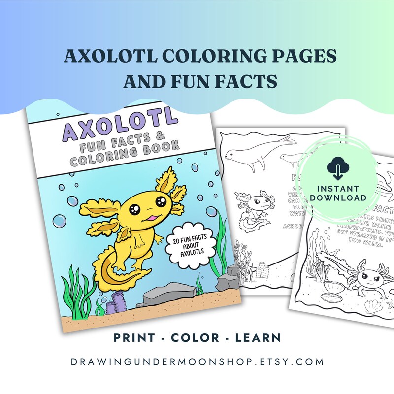 Axolotl Coloring Sheet - Etsy