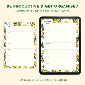 Undated Weekly Planner Digital Download Organiser PDF Vintage Citrus ...