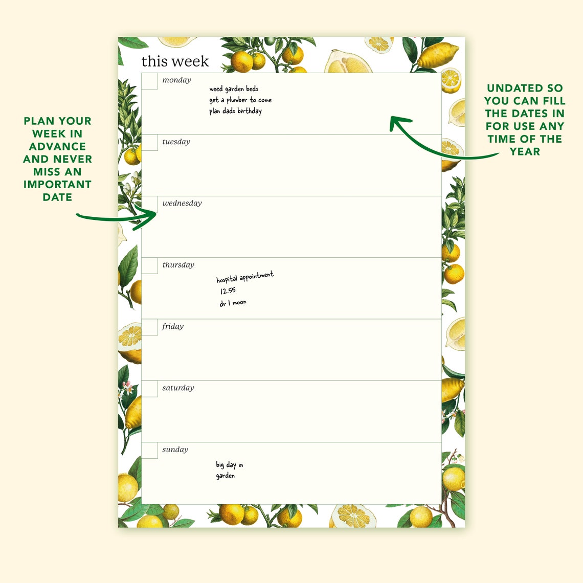 Undated Weekly Planner Digital Download Organiser PDF Vintage Citrus ...