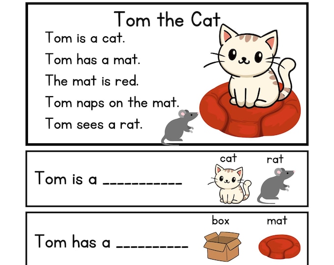 CVC Stories - Homeschool - Prek | Kindergarten - Etsy