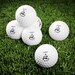 Barry Wood Long Drive Champion Golf Balls, 6pcs - Etsy