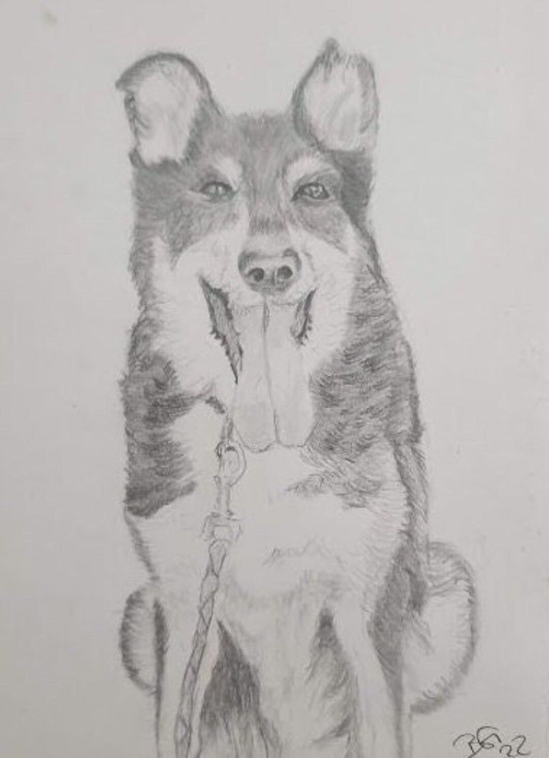 Small Pencil Drawing Based on a Photo - Etsy