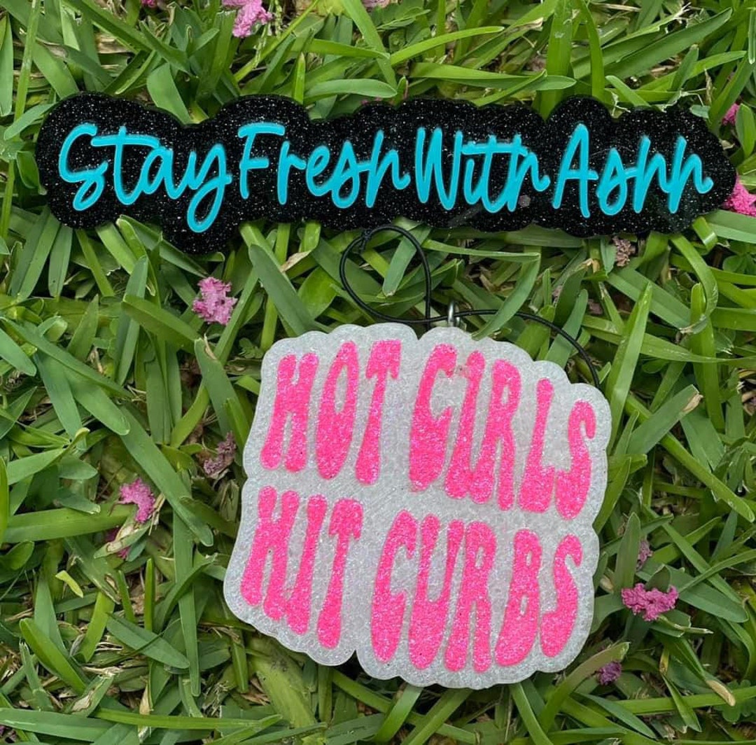 Hot Girls Hit Curbs Freshie - Etsy
