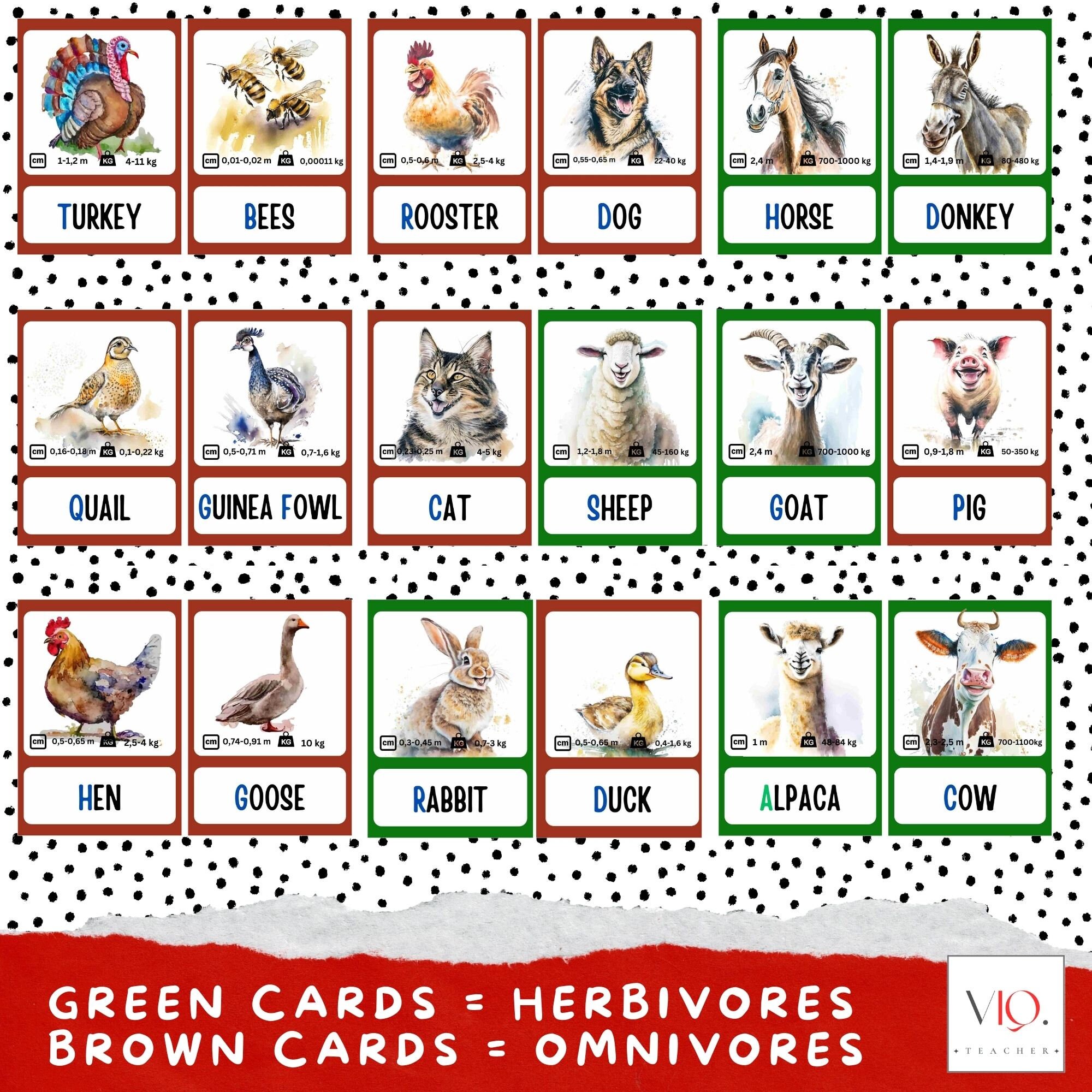 18 FARM ANIMALS FLASHCARDS (perfect for Clil, Science, Math, Efl, Esl ...
