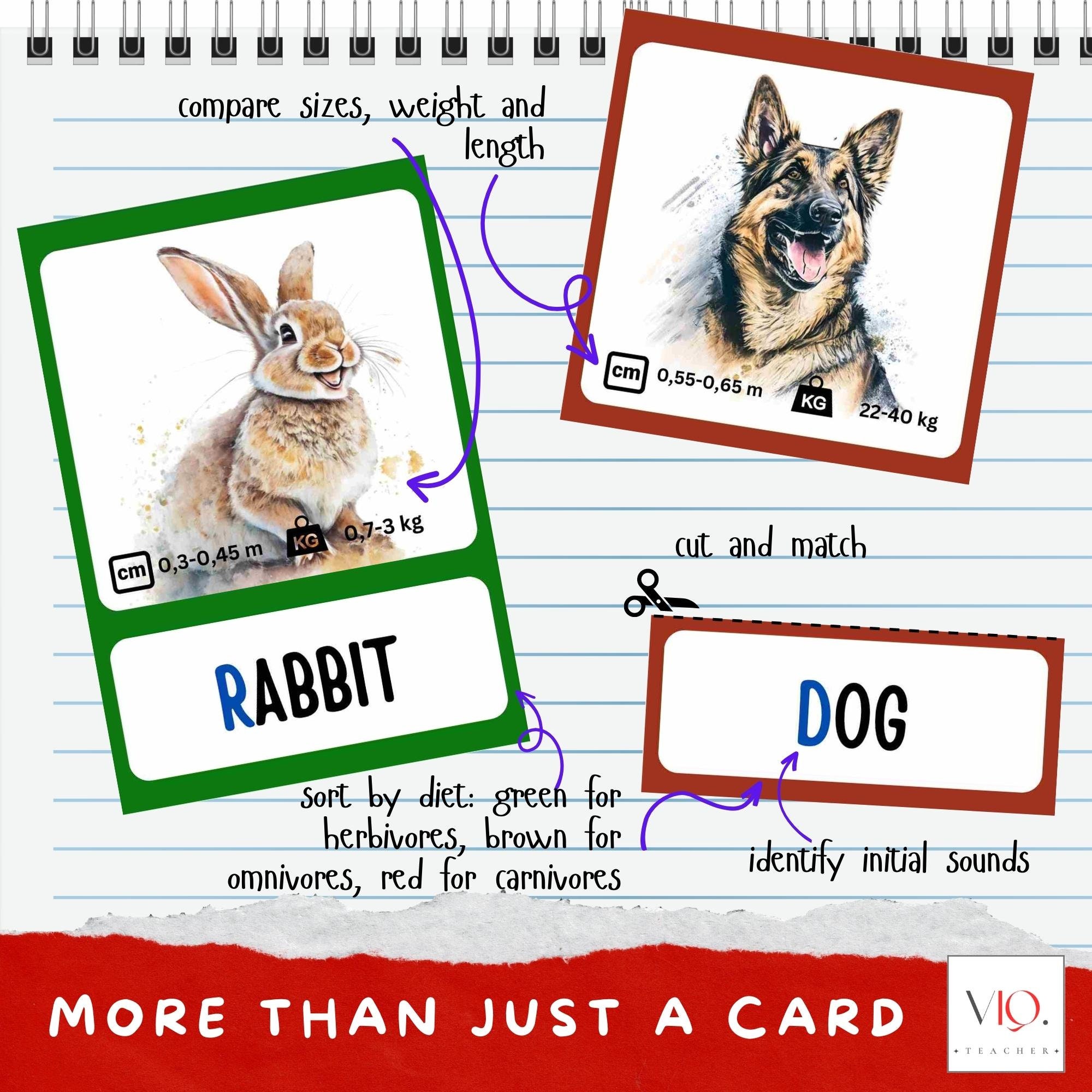 51 FARM ANIMALS FLASHCARDS (3 Sets in One) - Etsy