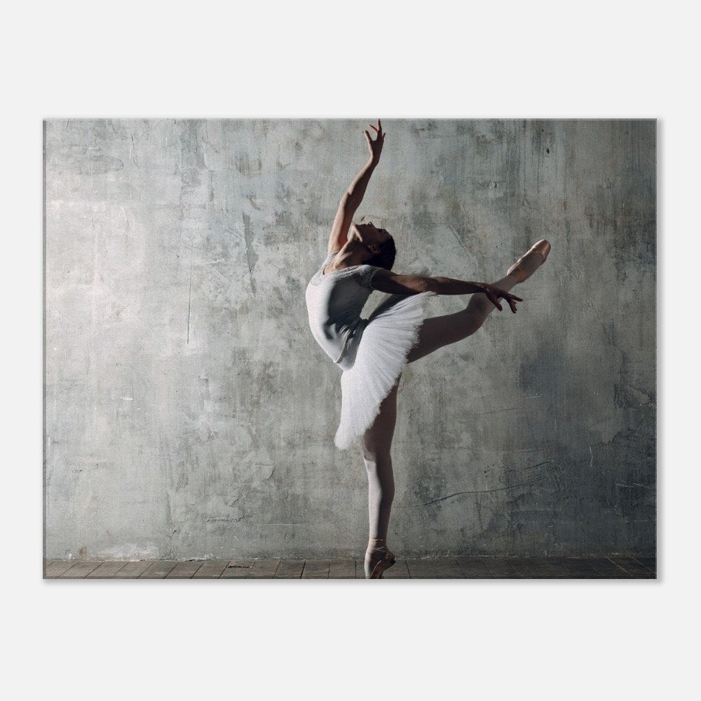 Ballet Canvas Wall Art - Etsy