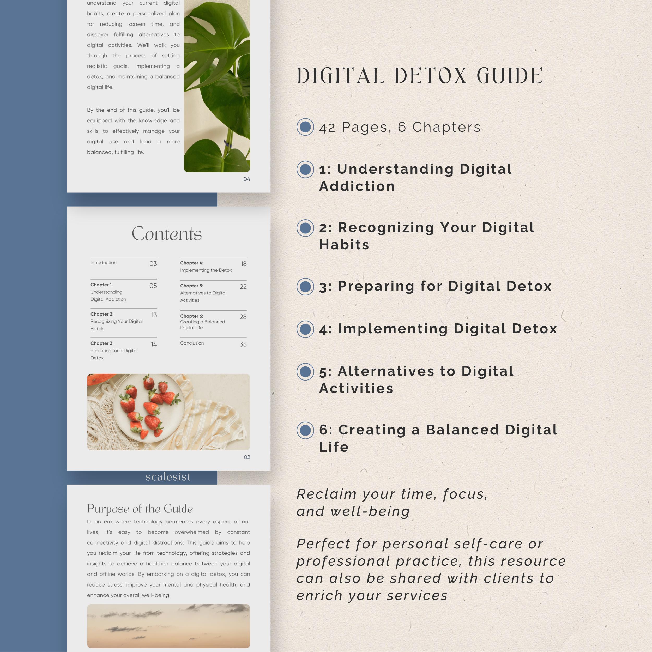 Digital Detox Ebook for Coaches, Screen Time & Digital Addiction Guide ...