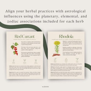 The Herbal Handbook: 82 Herb Profiles, Botanical Reference (printable ...