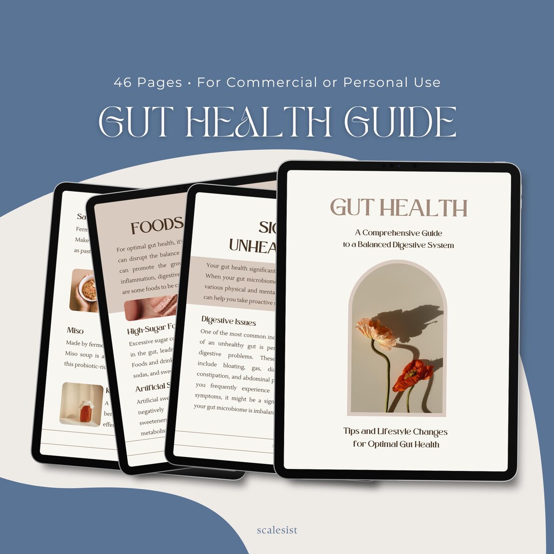 Gut Health, A Guide to a Balanced Digestive System • Tool for Coaches ...