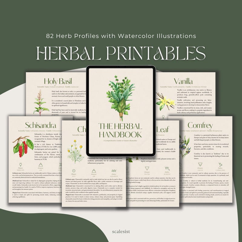 Herb Book - Etsy