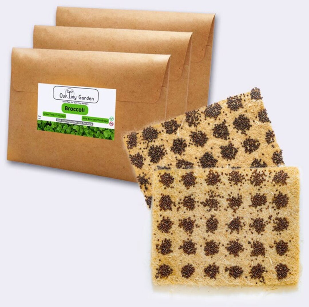 Seed Pad Refills - 3 Pack - Etsy