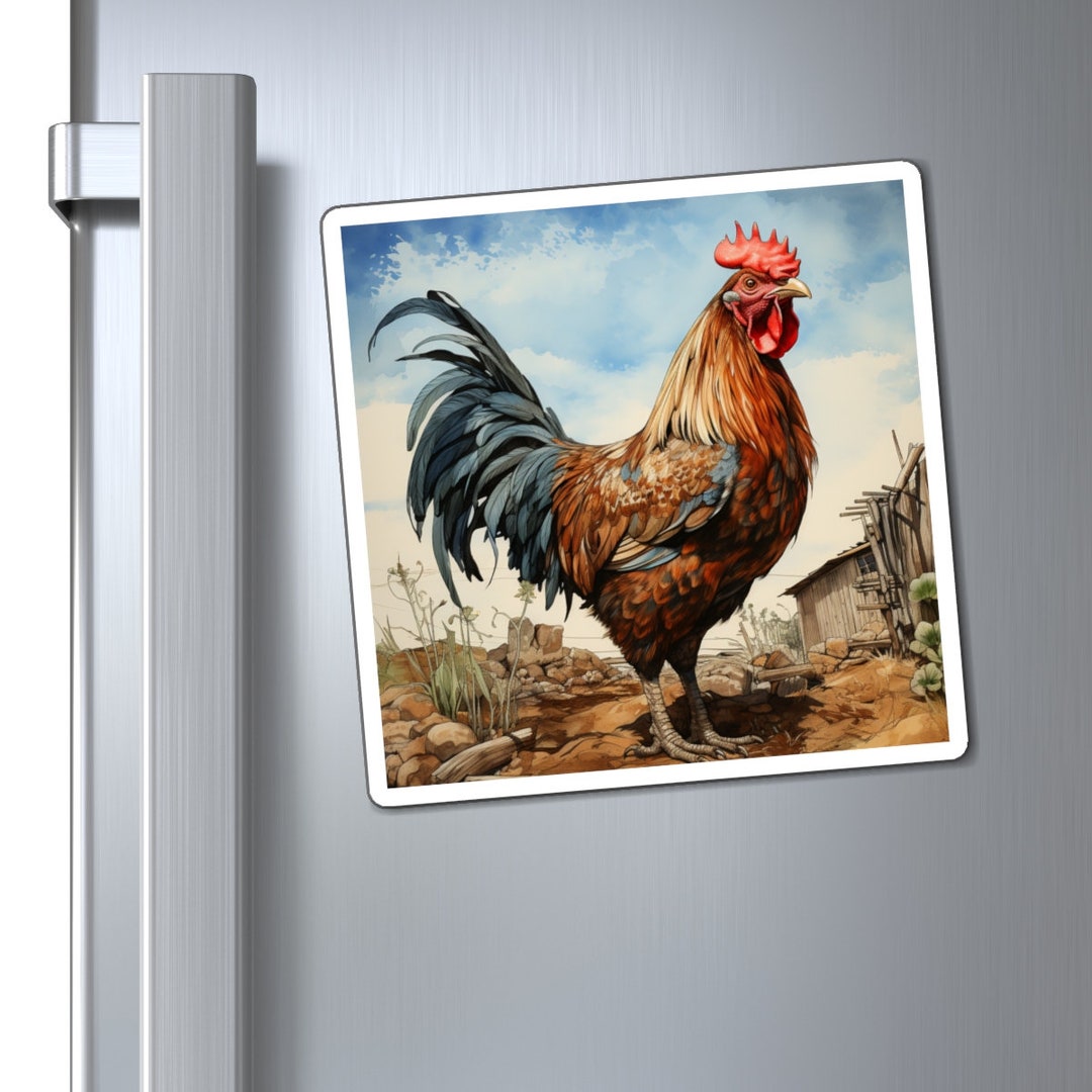 Drawn Rooster Vinyl Magnets | Bold Natural Colors | Animal Magnet ...