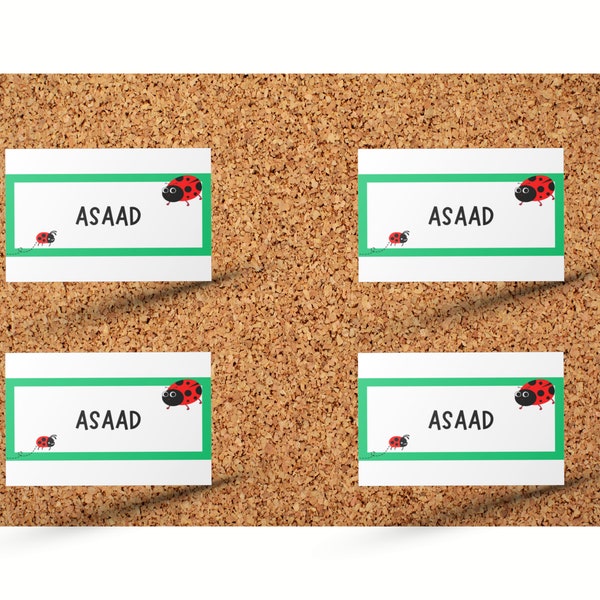 Ladybug Classroom Display - Etsy