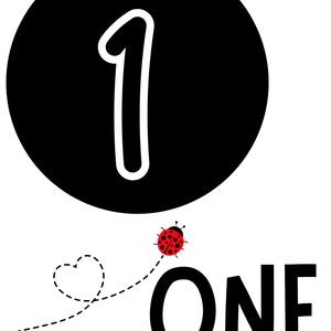 Printable Back to School Ladybug Themed Classroom Decor - Etsy