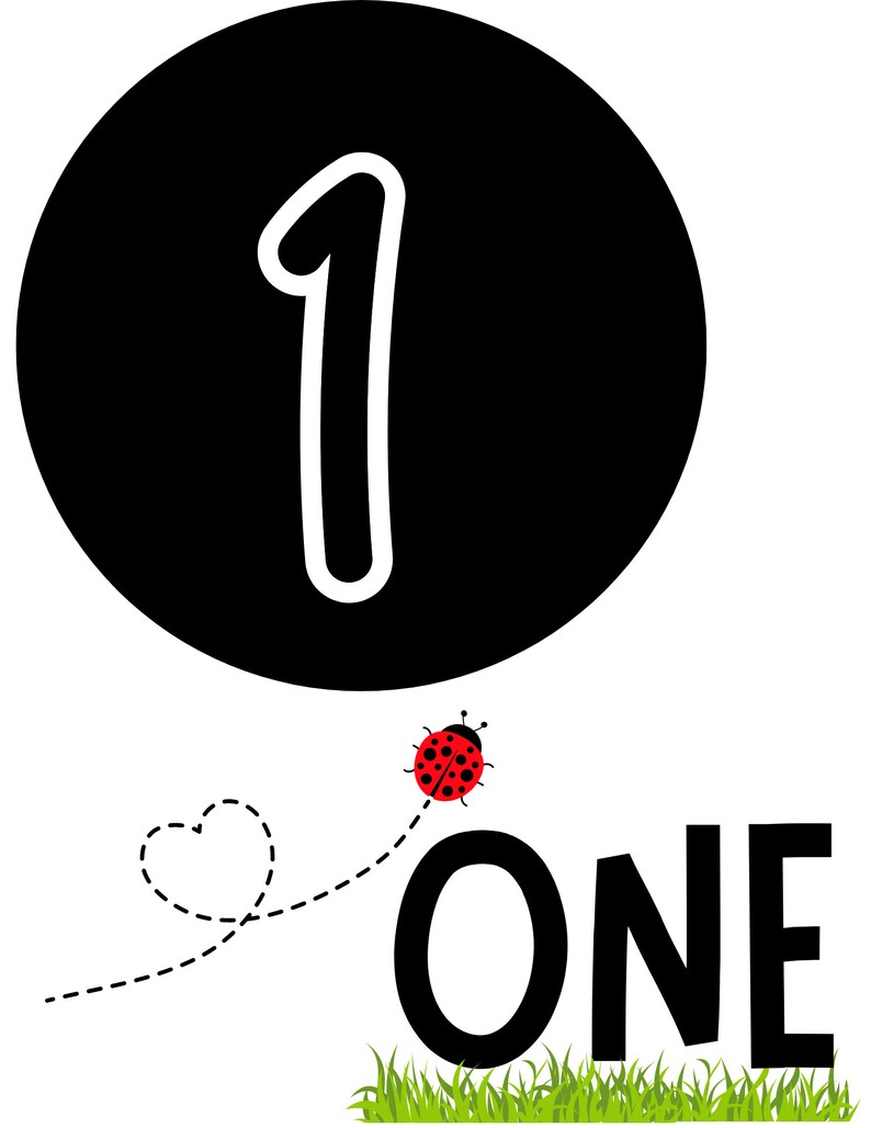 Printable Back to School Ladybug Themed Classroom Decor Bundle ...