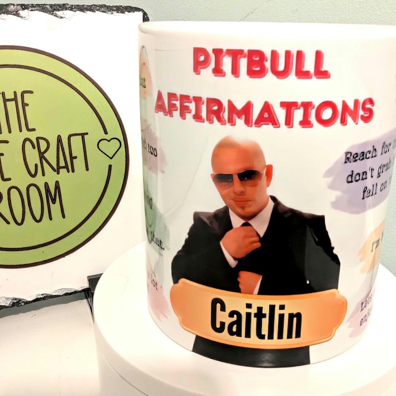Pitbull Tour Merch - Etsy UK