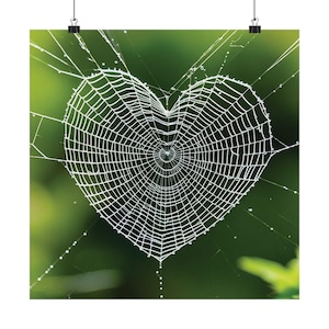 Heart Web Matte Poster Print - Cobweb Art - Spiderweb Photo - Etsy