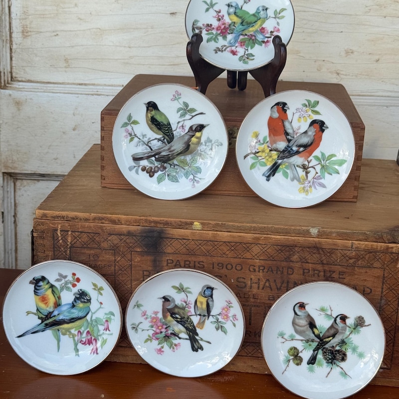 Ceramic Bird Plates - Etsy